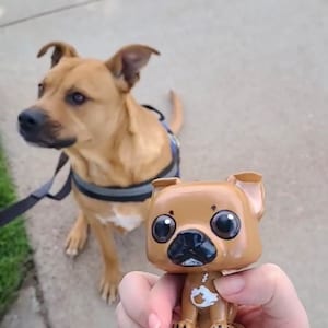 Pop Keychain Pet-dog-cat Combo - Etsy Canada