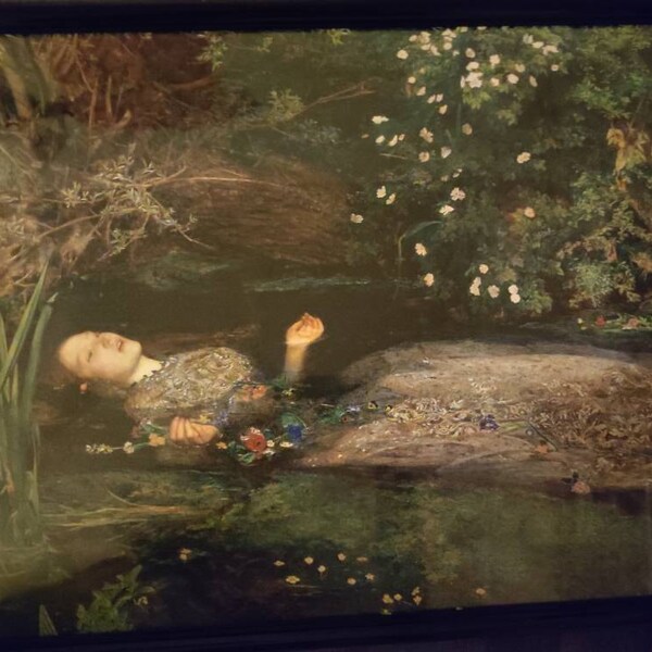 Shark and Cat, Funny Meme Art, Weird Renaissance Painting, Large Wall ...