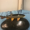 Realistic Trout 3 Pack (rainbow, Brown, and Golden) - Etsy