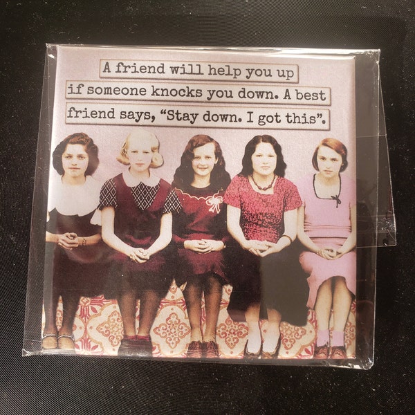 Best Friend Magnet, Funny Magnet, Kitchen Magnet, Magnet, Fridge Magnet ...