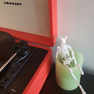 Dead Imp Skeleton 3D Print Taxidermy Sculpture | Etsy