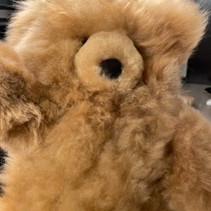 Andean Bird Plush / Peruvian Andean Condor / Alpaca Condor - Etsy