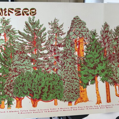 RISO 11 X 17 Conifer Tree Poster - Etsy