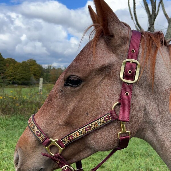 Magic Horse Halter, Gold Foil Ribbon Horse Halter, Floral Large Horse ...