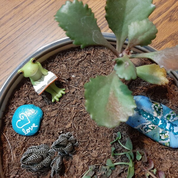 Hand Painted Floral Stones, Flower Gardens, Small Garden Stone, 2 Inch ...