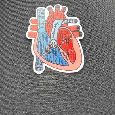 Naughty CAUTI Catheter Nursing/healthcare Sticker - Etsy