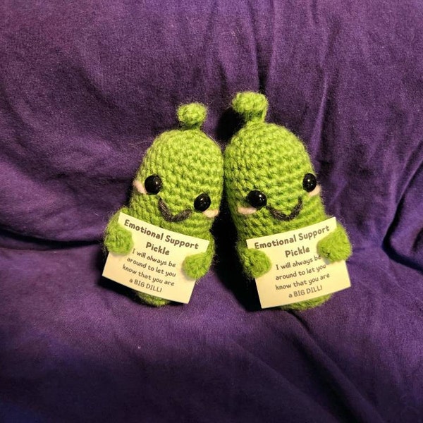 Crochet Emotional Support Pickle & Positive Poo Pattern Bundle (US ...