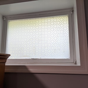 PRIVACY Window FILM DIY Window Decal Prevent Bird Collision Waterproof ...