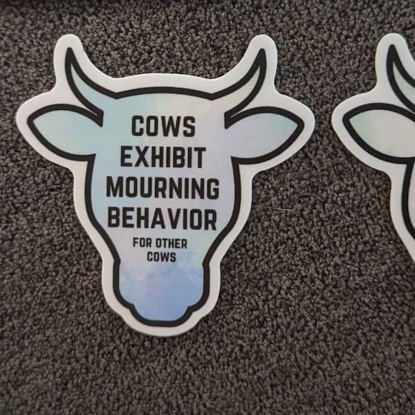 Rogue Protocol // the Murderbot Diaries I Received Your Request but ...