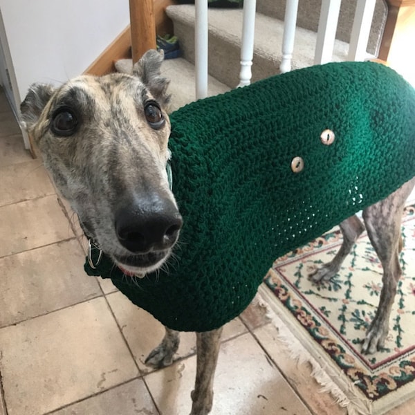 Aeriedesigns Quick Easy Greyhound SWEATER in a Weekend Crochet PATTERN ...