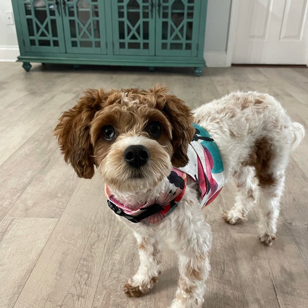 Colorful Dog Harness-small Dog Harness, Premium Handmade Dog Harness ...