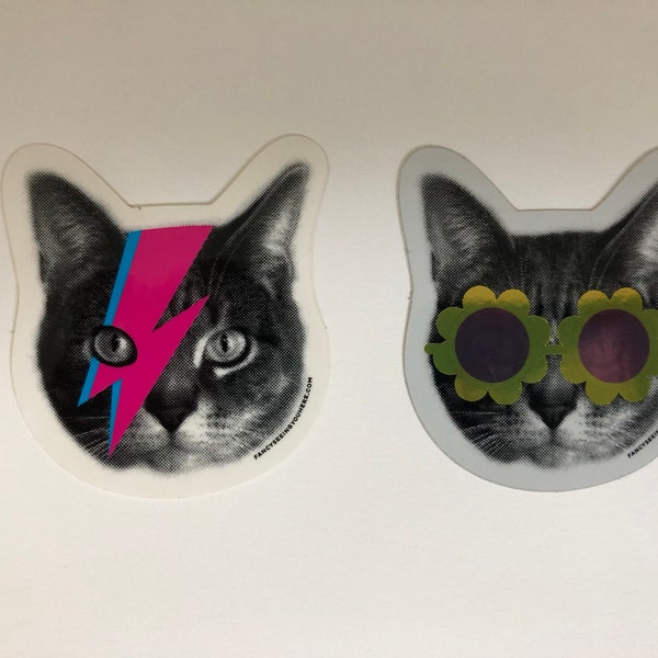 F1 Racing Cat Sticker - Ferrari Helmet Cat - Metallic Charles Leclerc ...