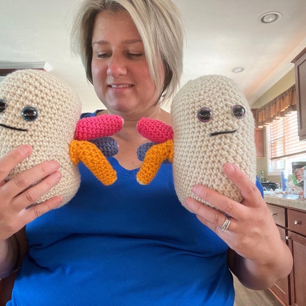 Anatomical Kidney Crochet Pattern! PATTERN ONLY Instant DOWNLOAD ...