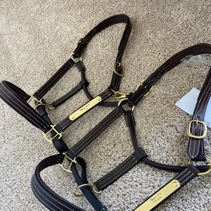 Solid Brass Saddle Plate Halter Plate Bridle Plate - Etsy