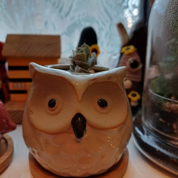 Human Face Abstract Indoor Plant Pots / White Vase Pot Planters / Head ...