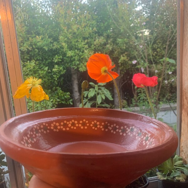 Authentic Hand Crafted Ceramic/terracotta Water Jug/ Botellon De Barro ...