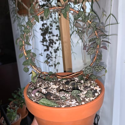 Copper Plant Trellis Houseplant Support Wire Stake - Etsy