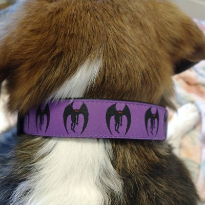 Labrador Retriever Dog Collars, Canoe Dog Collars, Wilderness Dog ...