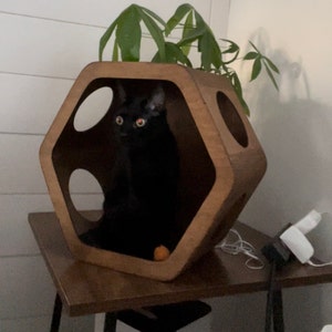 Pine Wood Cat Wall Post play Furniture Cat Shelves Includes - Etsy