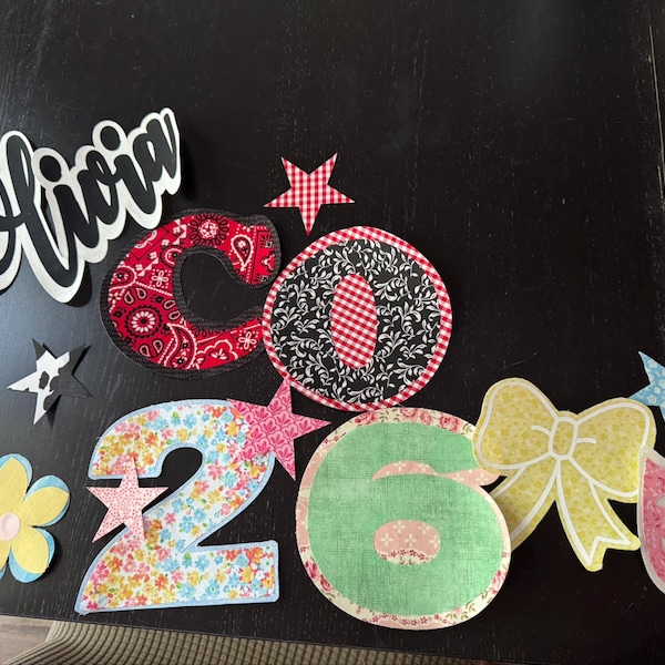 DIY Letter Kits for Senior Overalls - Etsy