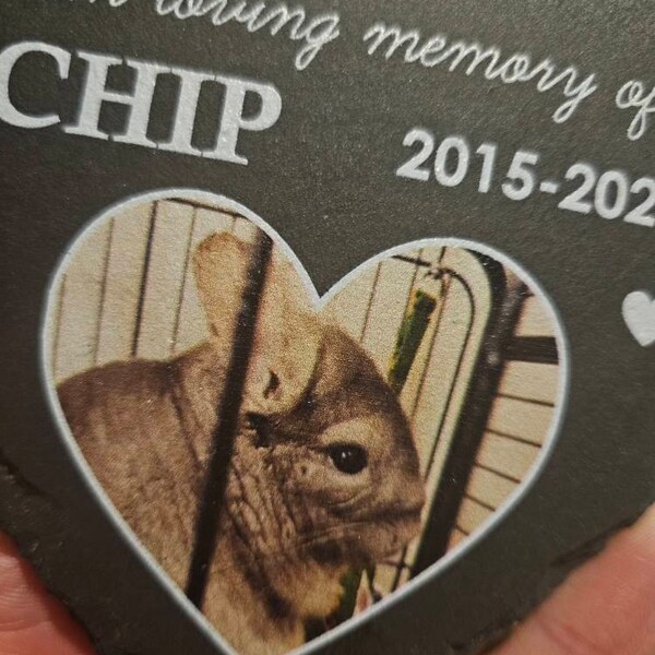 Personalized Rat Memorial Stone, Garden Stone, With Picture, Memorial ...