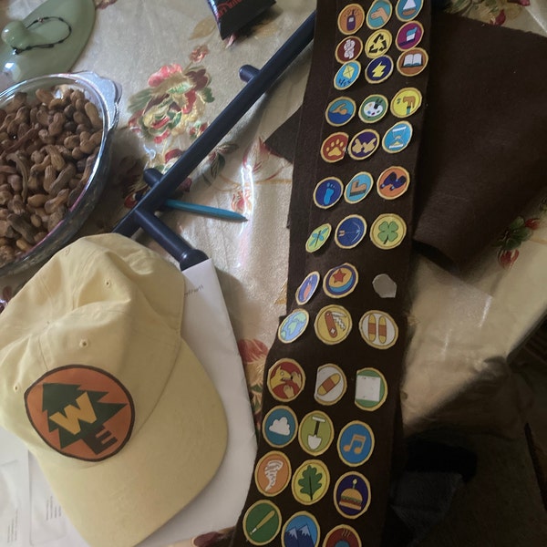 Wilderness Explorer Badge Png Clipart Russel Costume up Badge Scouting ...