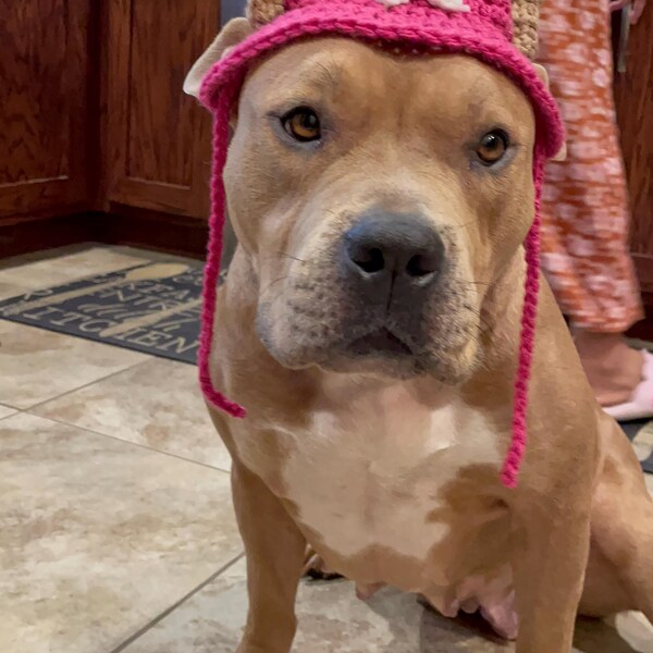 One Piece Anime Handmade Crochet Hat Tony Chopper Blue & Pink Hat ...