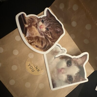 Crying Cat Sticker Pack Pack of 7 Meme Crying Cat Stickers - Etsy