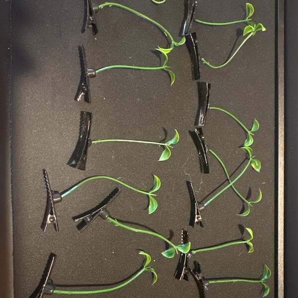 10 Pack Rave Sprouts| Flower Clips| PLUR| Sprout Clips| Ravers| Cute ...