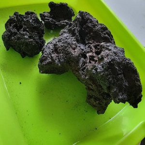 Aquarium Rock Pillar Twisted Lava Set Natural Renewable 6 Stones - Etsy