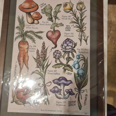 Hyrule Compendium Breath of the Wild Tears of the Kingdom Botanical ...