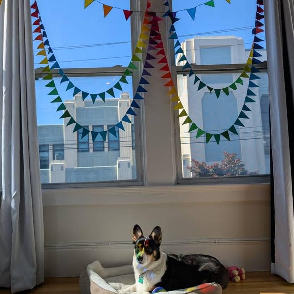 Bright Ombre Rainbow 2 Inch Triangle Bunting 14 Feet Long - Etsy