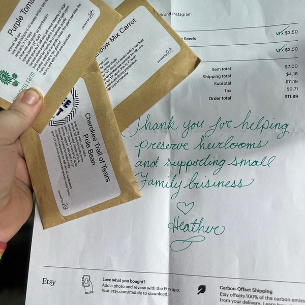 Zulu Sweet Bell Black Purple Pepper Heirloom Vegetable Seeds - Etsy