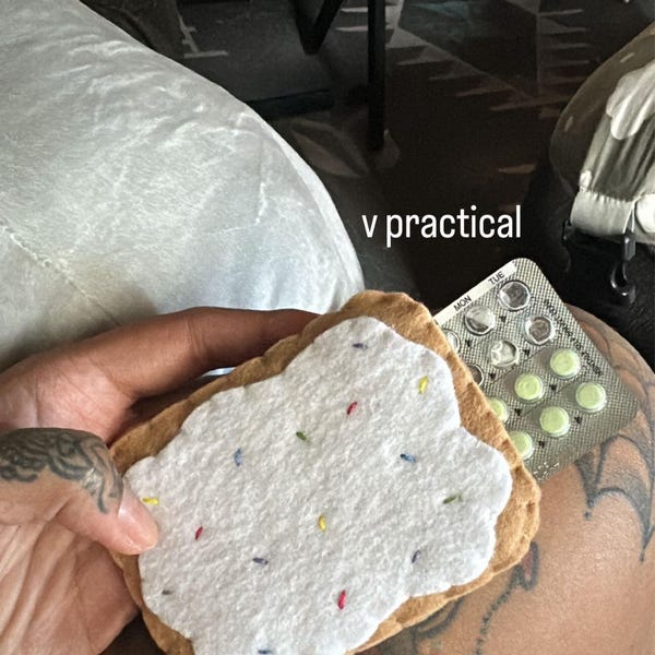 Felt Toaster Pastry Birth Control Sleeve: Novelty Pill Case - Etsy