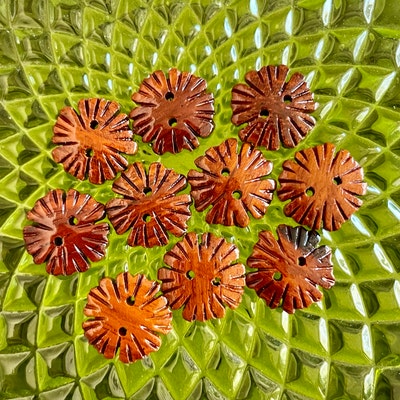 Nasa Shell Lei Dove Tail Shell by Dozen Bulk Costume Necklace Hawaiian ...