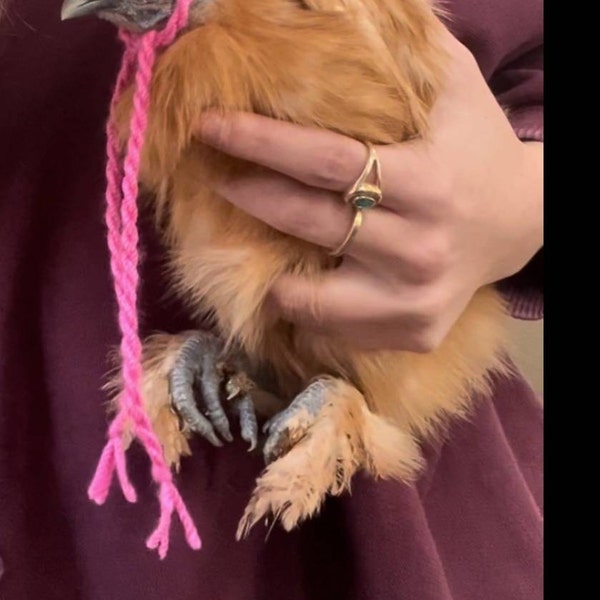 Pet Rabbit Costume, Bee Costume for Guinea Pig, Clothes for Bunnies ...