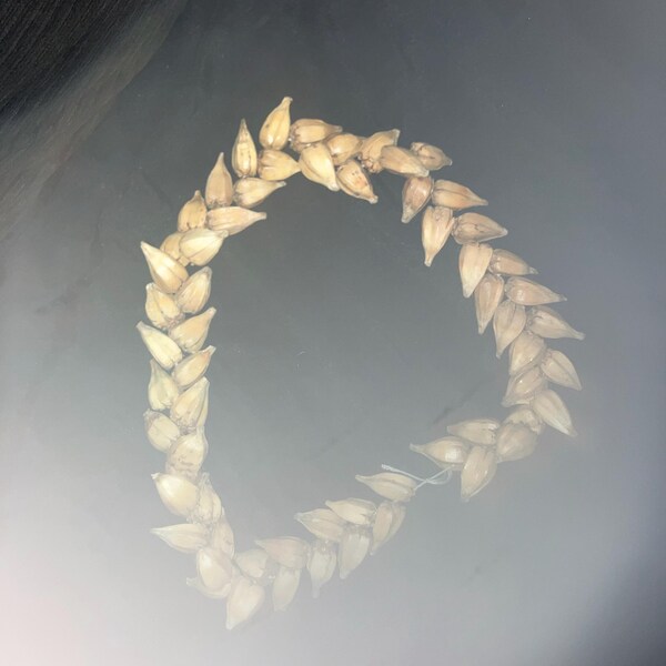 Polynesian, Samoan, Tongan Men's Traditional - Ula Fala Necklace ...