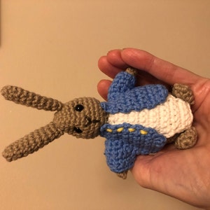 Peter Rabbit Amigurumi Pattern, Crochet Bunny Pattern, Crochet Tutorial ...