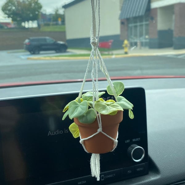 Pressed Flower Pantry Storage Container Kitchen Organization Coffee ...