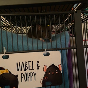 Personalized Rat or Mouse Name Plate Tag Small Animal Cage - Etsy