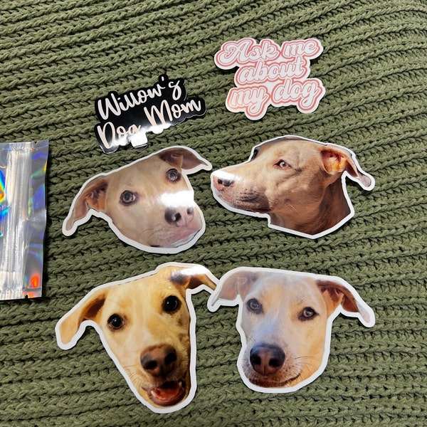 Garba Sticker Pack | Navratri Stickers | Waterproof | Water Bottle ...