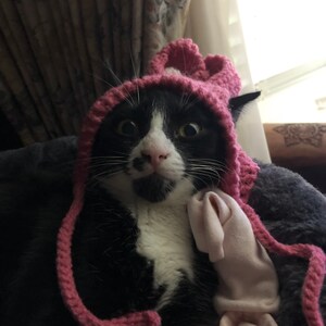 Pig Cat Hat Piggy Cat Hat Piggy Hat Hat for Cats and Small | Etsy