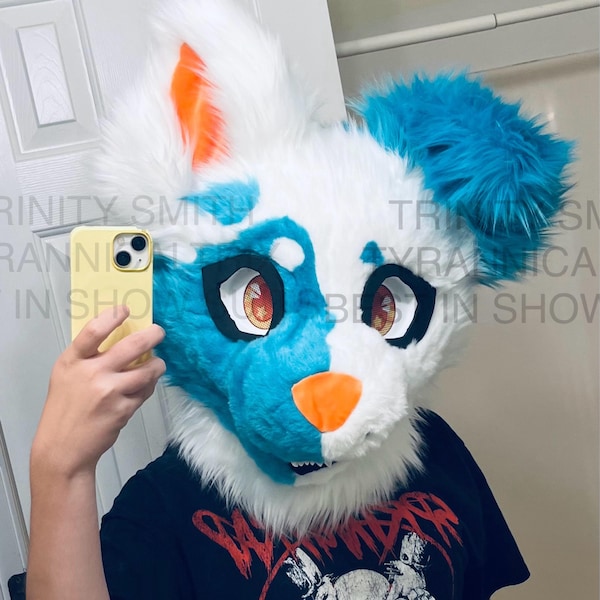 Custom Color Heart Fursuit Eye Mesh - Etsy