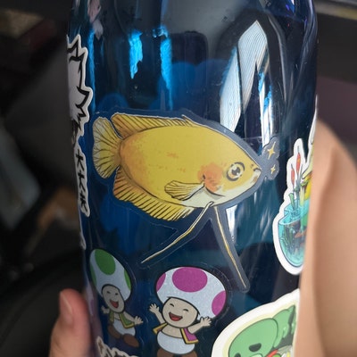 BETTA FISH Clear Sticker Pink and Blue Fighting Fish Art Transparent ...