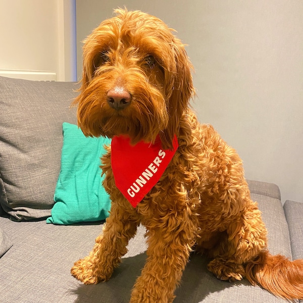 Arsenal Dog Bandana Football AFC Gunners Slide Collar Neckerchief - Etsy