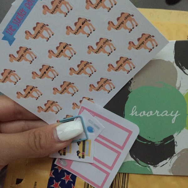 Camel Hump Day Planner Stickers, 20 or 64 Count - Stickers for Planners ...
