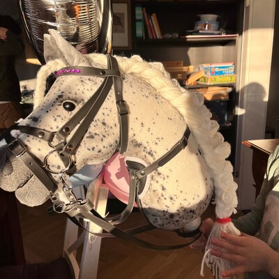 Hobby Horse SPRING Stickhorse Steckenpferd Hobby Horse - Etsy