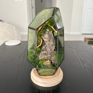 Geometric Terrarium Prism Desktop Mossarium Centrepiece Preserved Moss ...