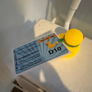 Florida License Plate / Cruise Duck Tags / Customized With Your ...