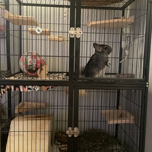 Chinchilla Hut Hideout House Free Standing House for Chinchilla Kiln ...
